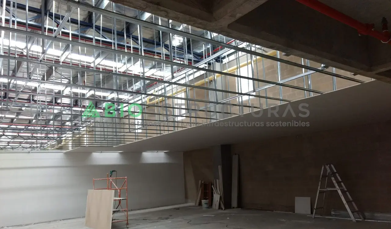 ¿Qué es el cielo raso? | Bioestructuras